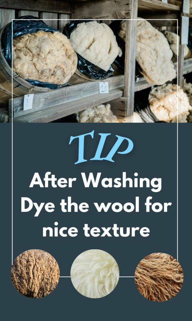 A Step-by-Step Guide to Processing Sheep Wool at Home