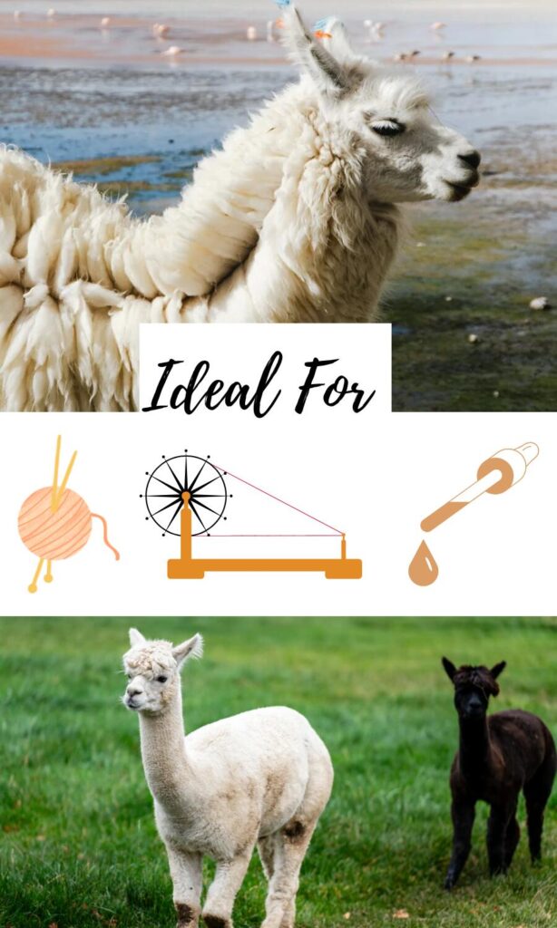20+ Different Types of Wool from Animals That You Should Know