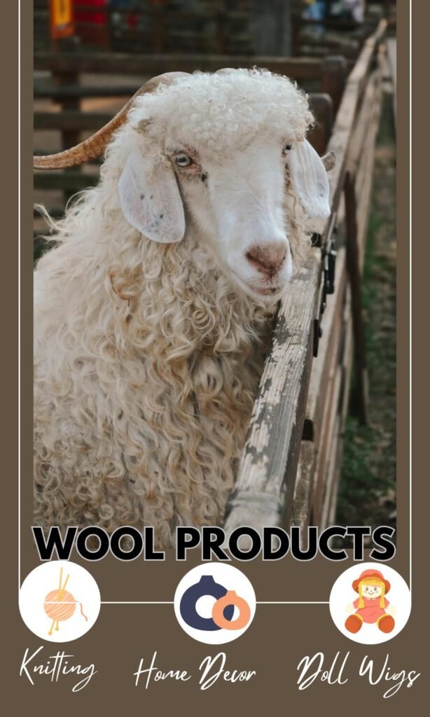 20+ Different Types of Wool from Animals That You Should Know