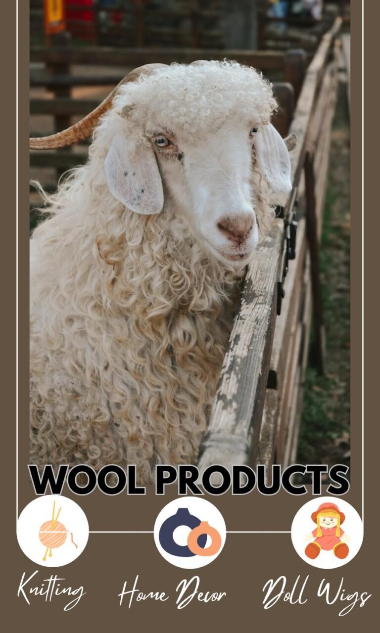 20+ Different Types of Wool from Animals That You Should Know