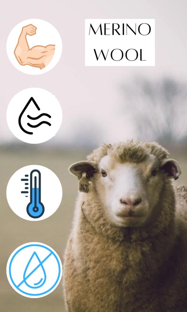 20+ Different Types of Wool from Animals That You Should Know