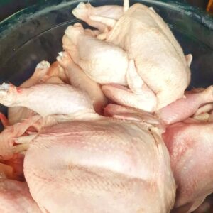 Quail vs Chicken: Which Poultry is Best for Your Needs?