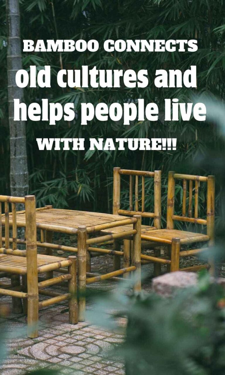 1000+ Things to Make From Bamboo for Sustainable Living