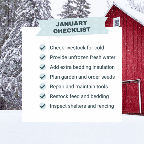 An Ultimate Homesteading Checklist: A Month-by-Month Guide