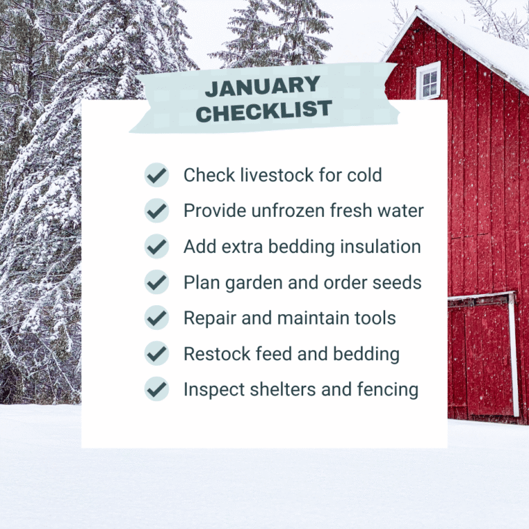 An Ultimate Homesteading Checklist: A Month-by-Month Guide