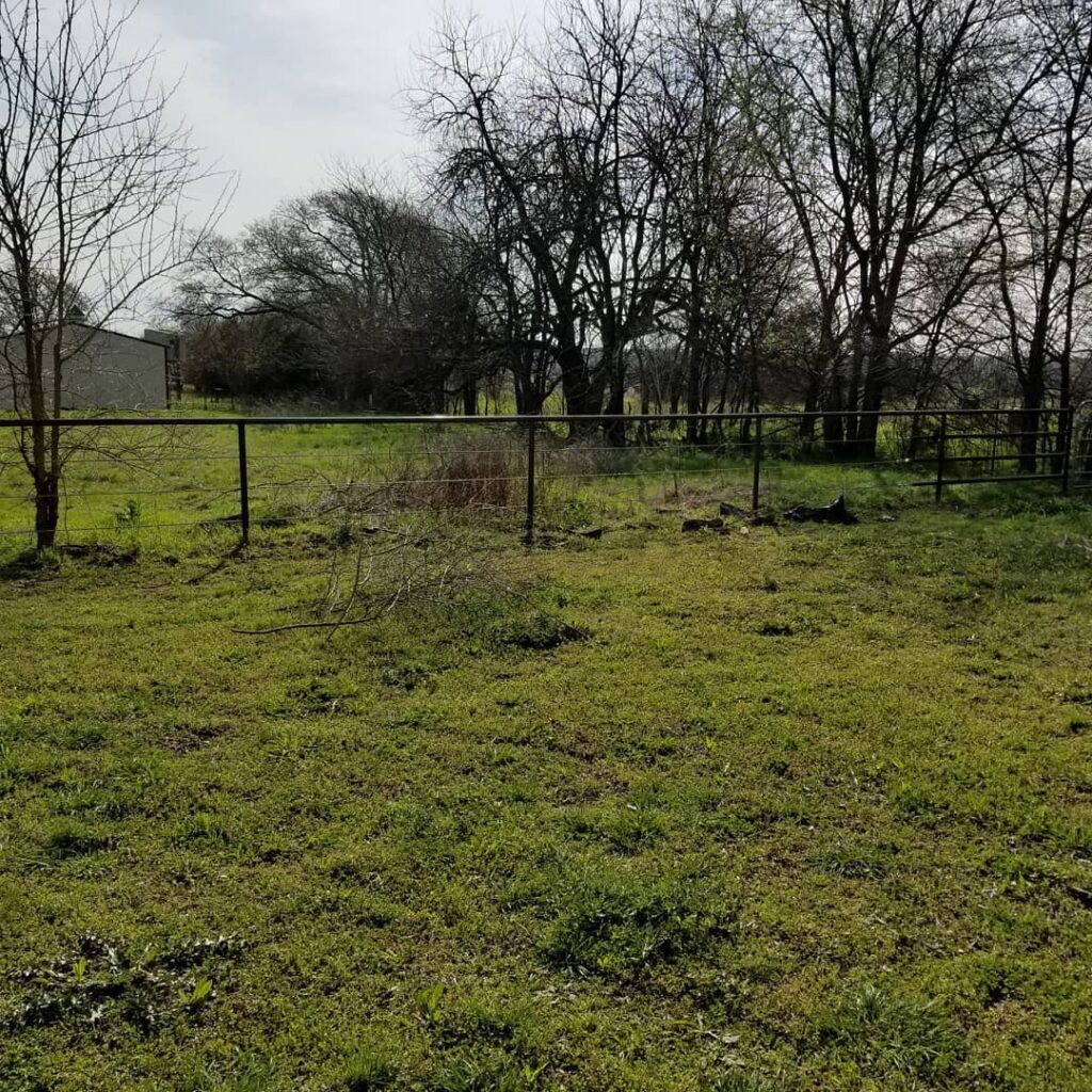 10 Best Ranch Fence Ideas to Protect Your Farm and Homestead