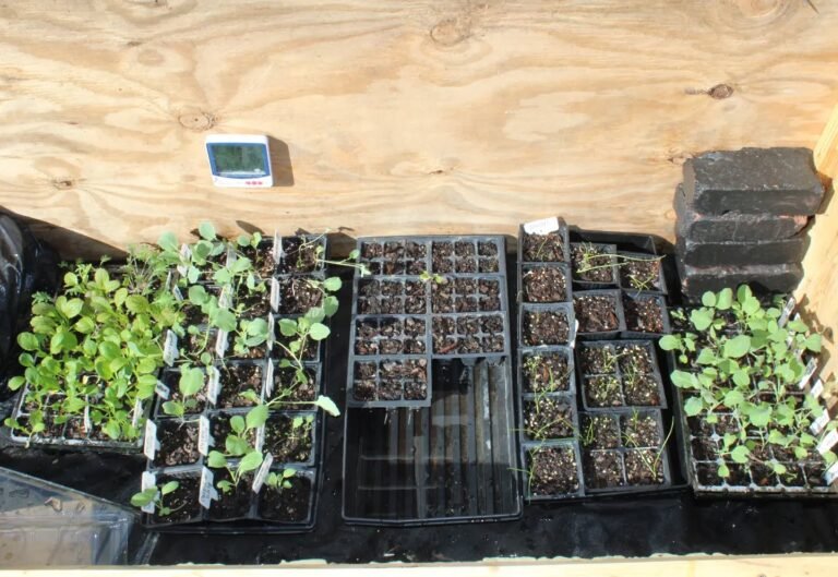 An Ultimate Homesteading Checklist: A Month-by-Month Guide