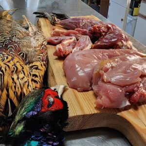 How to Raise Pheasants for Meat and Profit (Complete Guide)