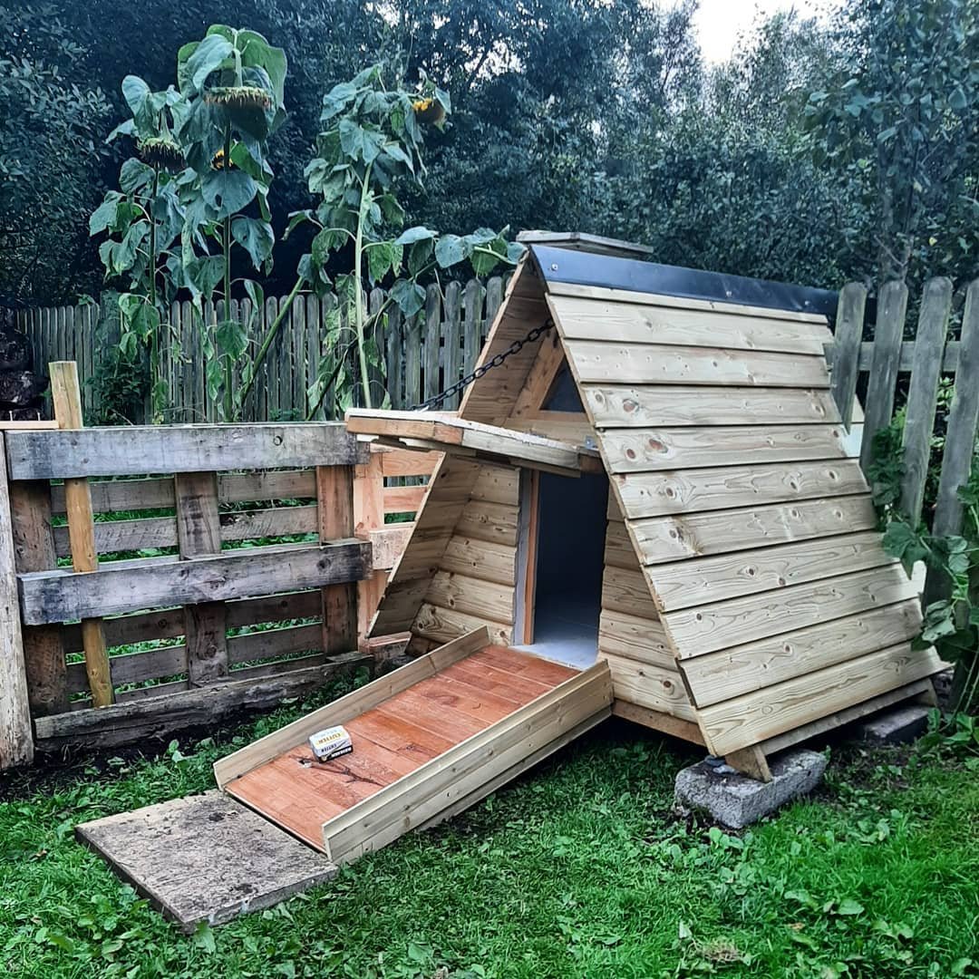 7 DIY Duck Coop Ideas for Small To Large Flocks