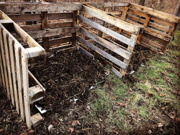 How to Compost Chicken Manure at Homestead: Step-by-Step Guide