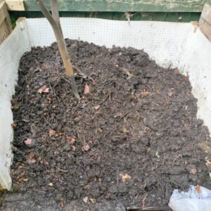 Cold Composting 101 Guide for Beginners