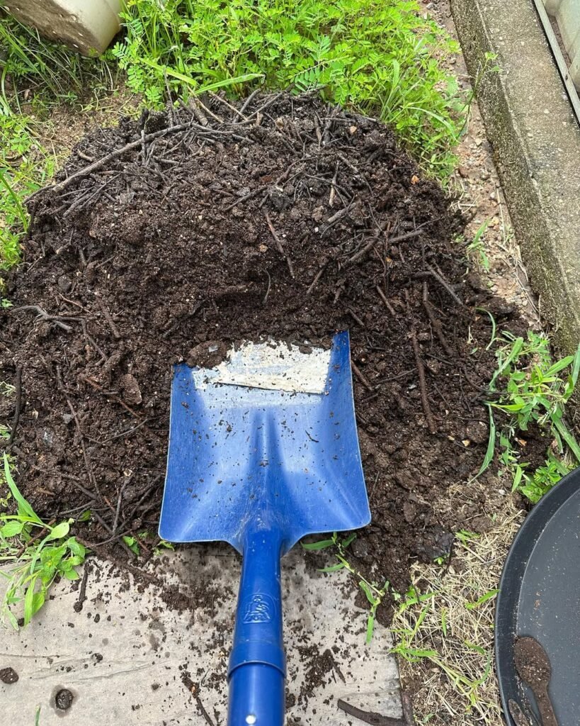 Cold Composting 101 Guide for Beginners
